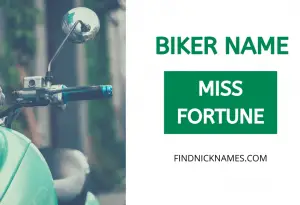 900+ Club-worthy Biker Nicknames or Road Names — Find Nicknames